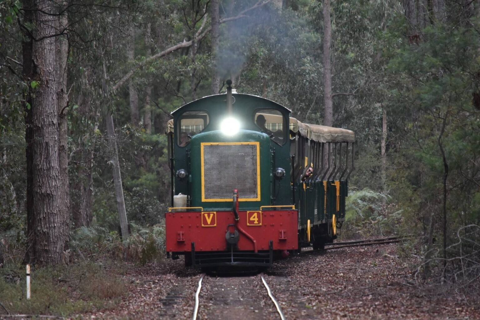 Dwellingup Forest Train – PnP